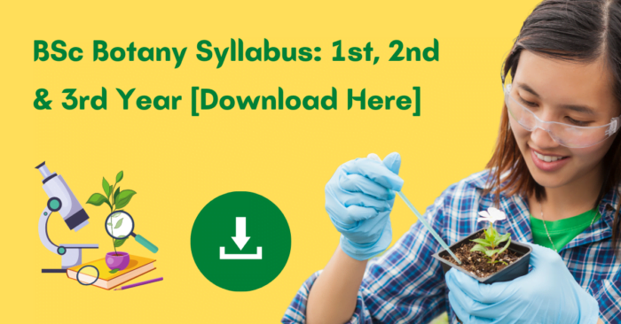 BSc Nursing Syllabus 2025: 1st - 4th Year (Free Download PDF)