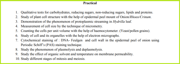 BSc Botany Syllabus: 1st, 2nd & 3rd Year (PDF) - 2025 Edition