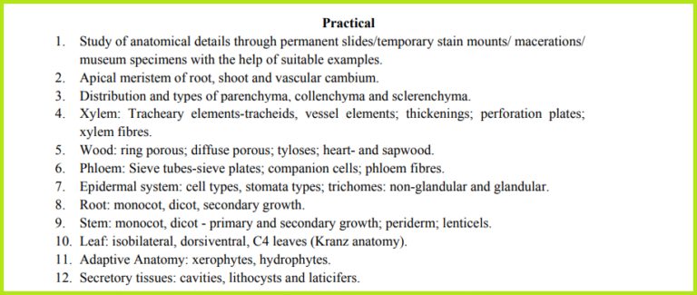 BSc Botany Syllabus: 1st, 2nd & 3rd Year (PDF) - 2025 Edition