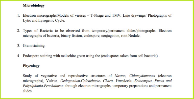 BSc Botany Syllabus: 1st, 2nd & 3rd Year (PDF) - 2025 Edition