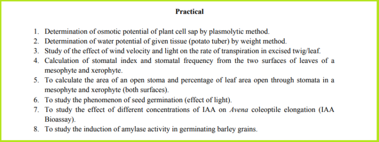 BSc Botany Syllabus: 1st, 2nd & 3rd Year (PDF) - 2026 Edition