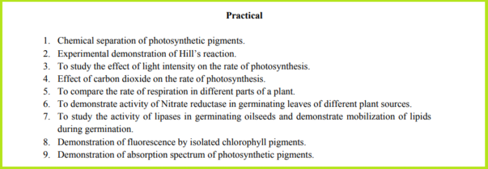 BSc Botany Syllabus: 1st, 2nd & 3rd Year (PDF) - 2026 Edition